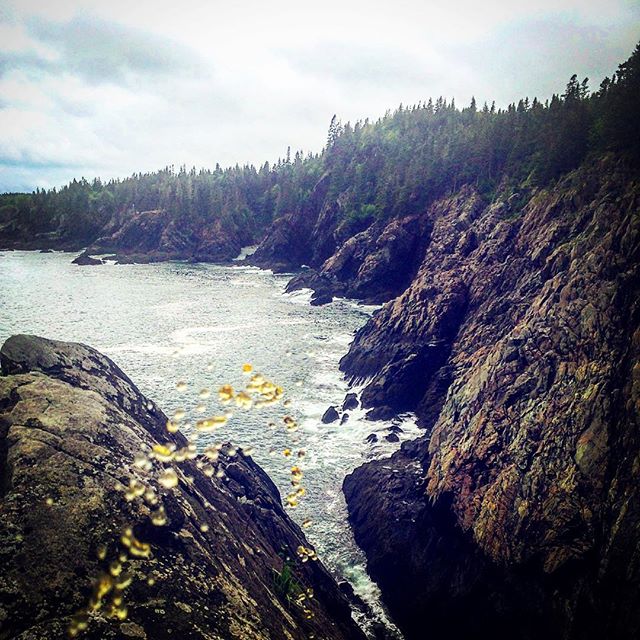 Breaking New Water | scenicpees